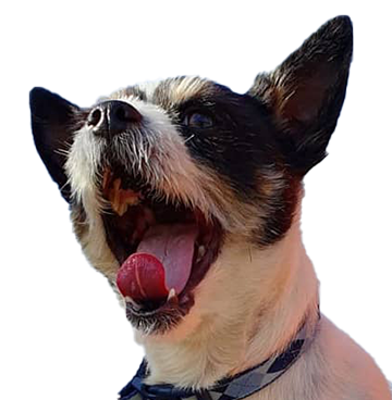 Pendine Sands Holiday Park, Wales | Parkdean Resorts