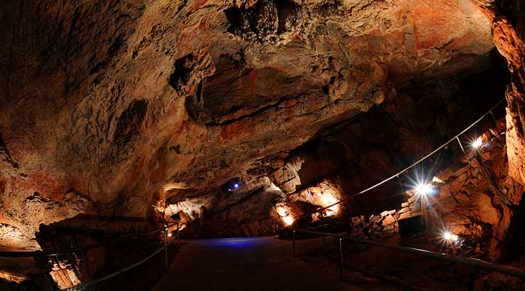 Things To Do & Local Attractions in Devon | Parkdean Resorts