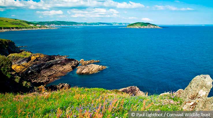 Things to do near Looe Bay Holiday Park