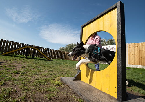 Facilities & Activities at Southview Holiday Park, Lincolnshire