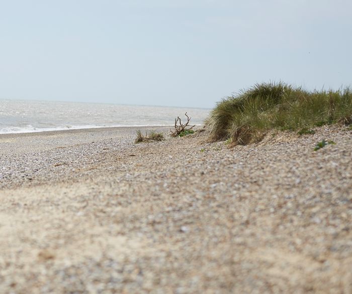 Kessingland Beach Holiday Park, East Anglia