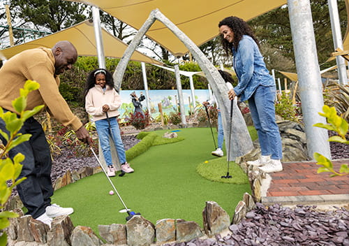 Newquay Holiday Park, Cornwall | Parkdean Resorts