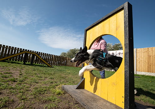 Warmwell Holiday Park, Dorset | Parkdean Resorts