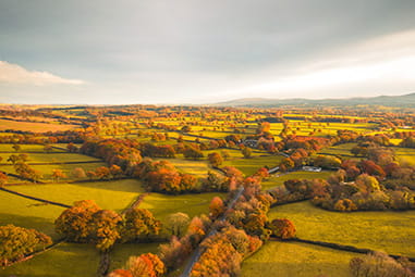 Devon Holidays 2025 - Explore 4 Stunning Devon Caravan Parks